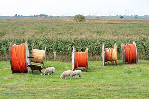 Funding available for US co-ops to expand rural broadband - Co ...