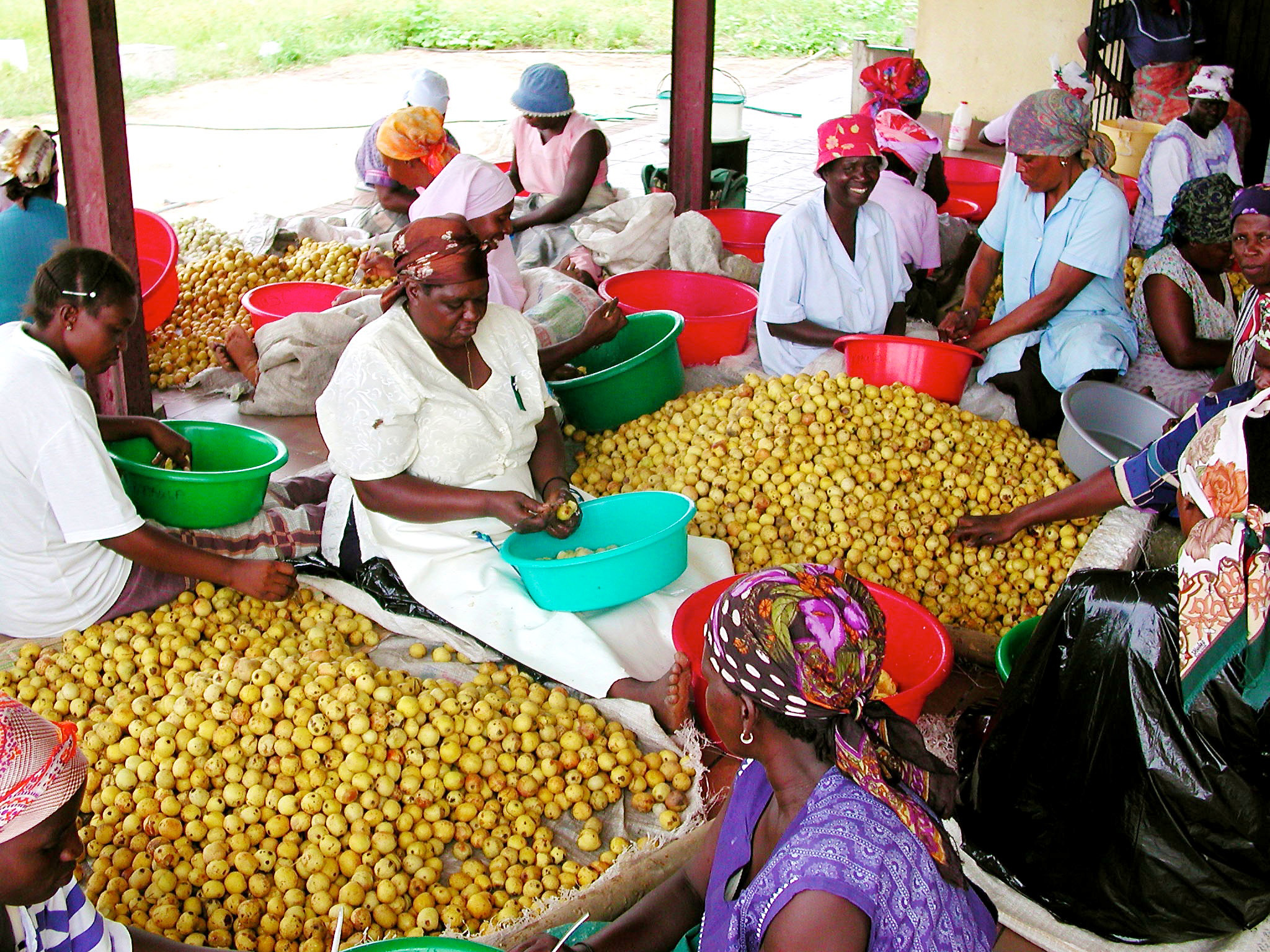 Two women’s co-ops changing lives - Co-operative News