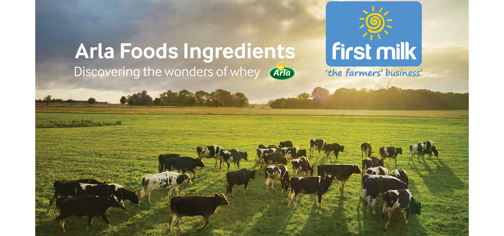 Dairy co-ops First Milk and Arla sign deal to produce whey protein ...