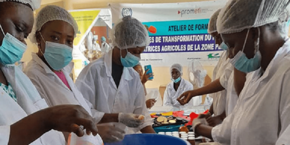 Co-ops used to formalise economy in Senegal - Co-operative News