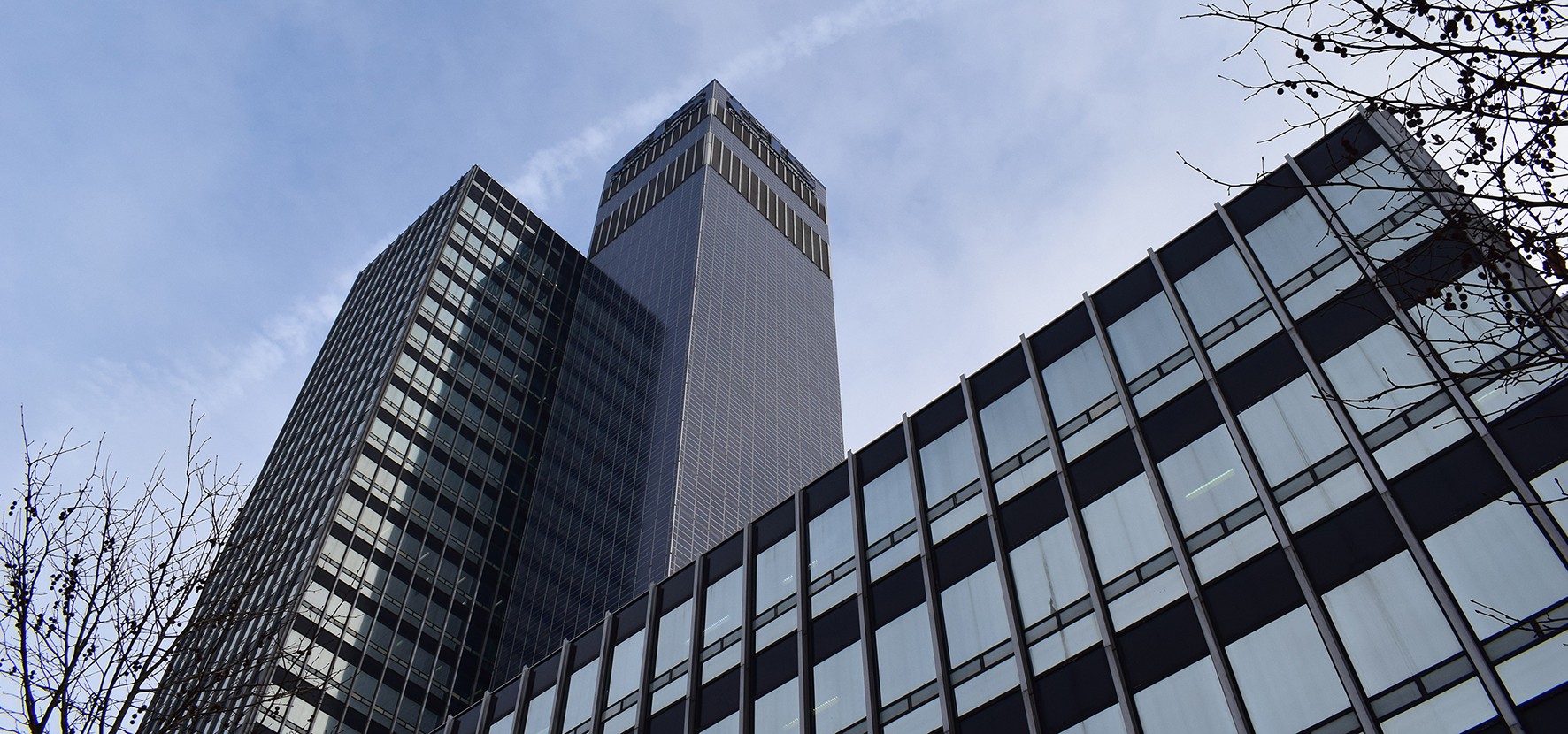 Co-op Group returns to the life insurance market - Co-operative News