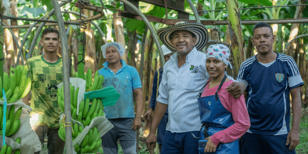 Fairtrade and retail: How farmers benefit from your purchases - Co ...