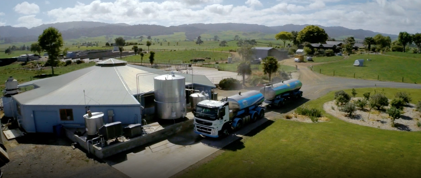 NZ dairy co-op Fonterra announces target for on-farm climate emissions ...