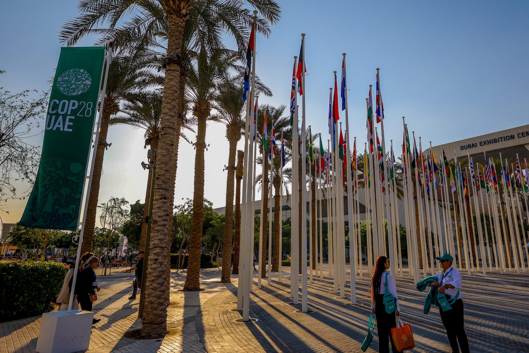 COP28: European co-op banks explore green finance and sustainable food ...