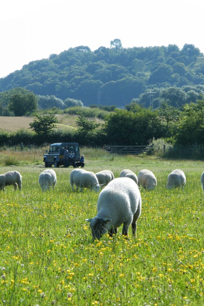 Farm that played home to radio soap the Archers launches £1m community ...