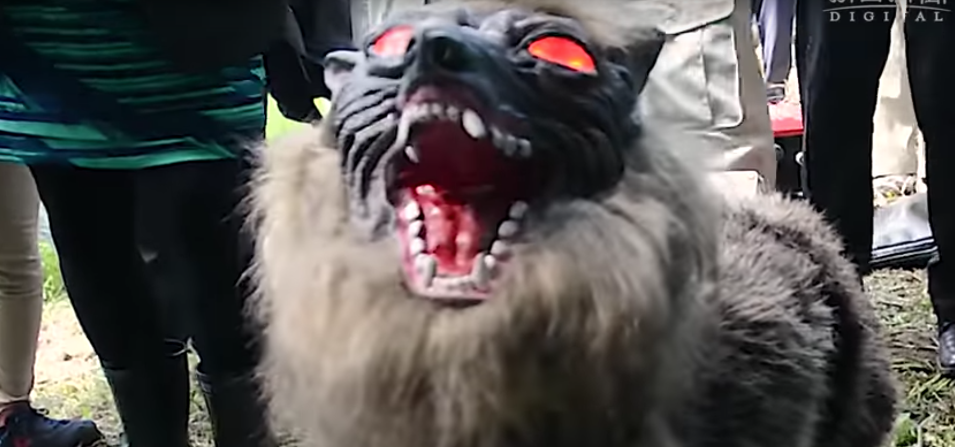 Farm co-op uses solar powered 'Super Monster Wolf' to protect crops ...