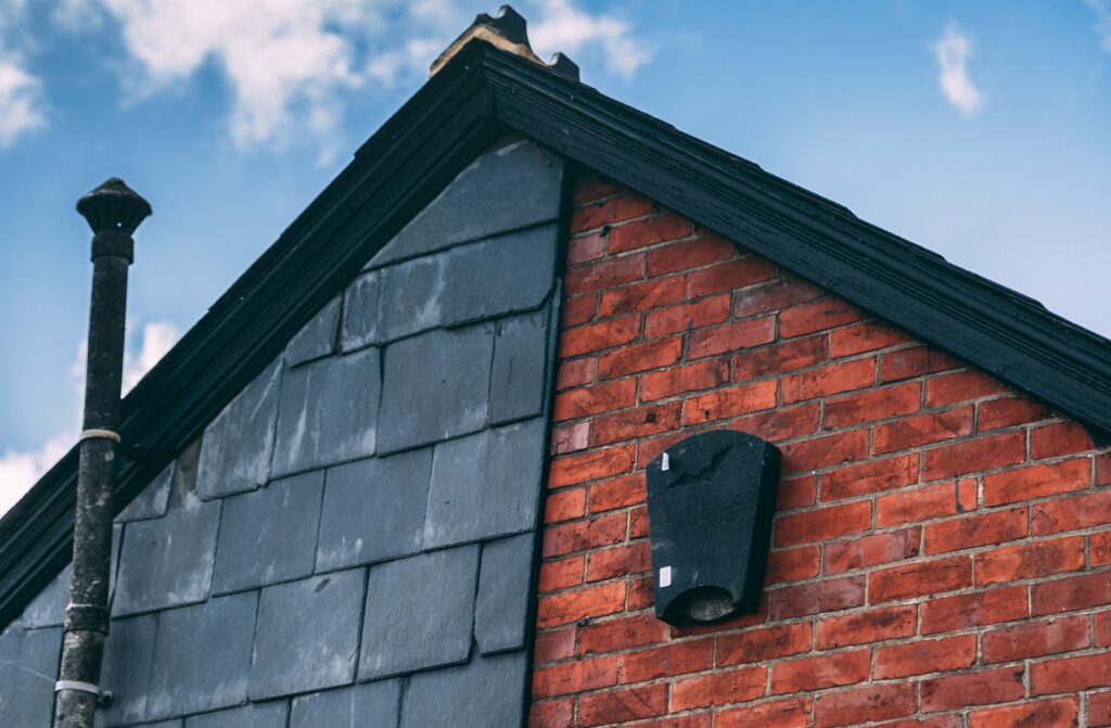 Southern Co-op stores provide homes for protected bat species - Co ...