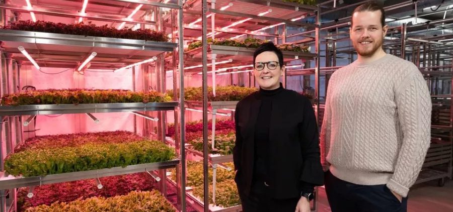 European co-ops invest in vertical farming as climate change hits salad ...