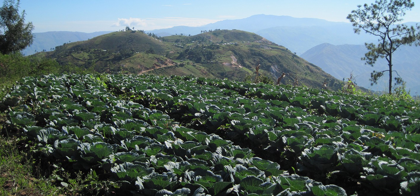 Woccu working to boost agricultural investment in Haiti - Co-operative News