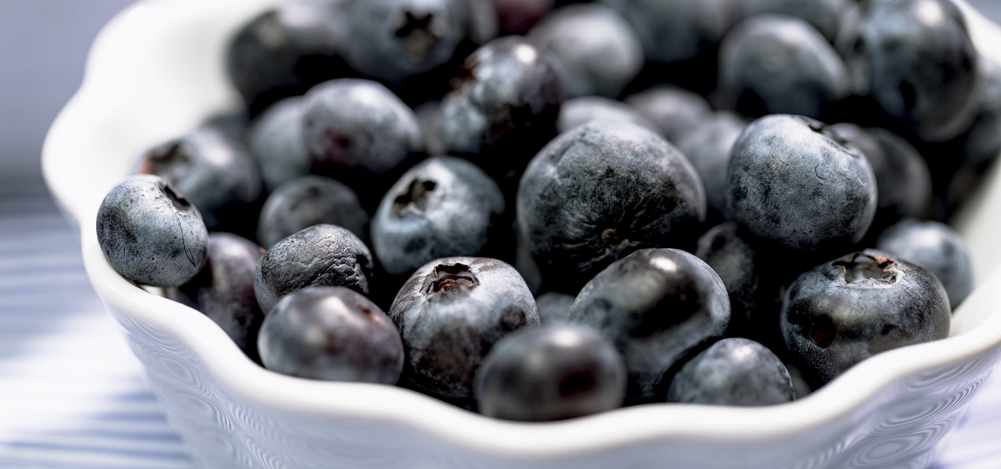 European blueberry co-op brings together Dutch and German growers - Co ...