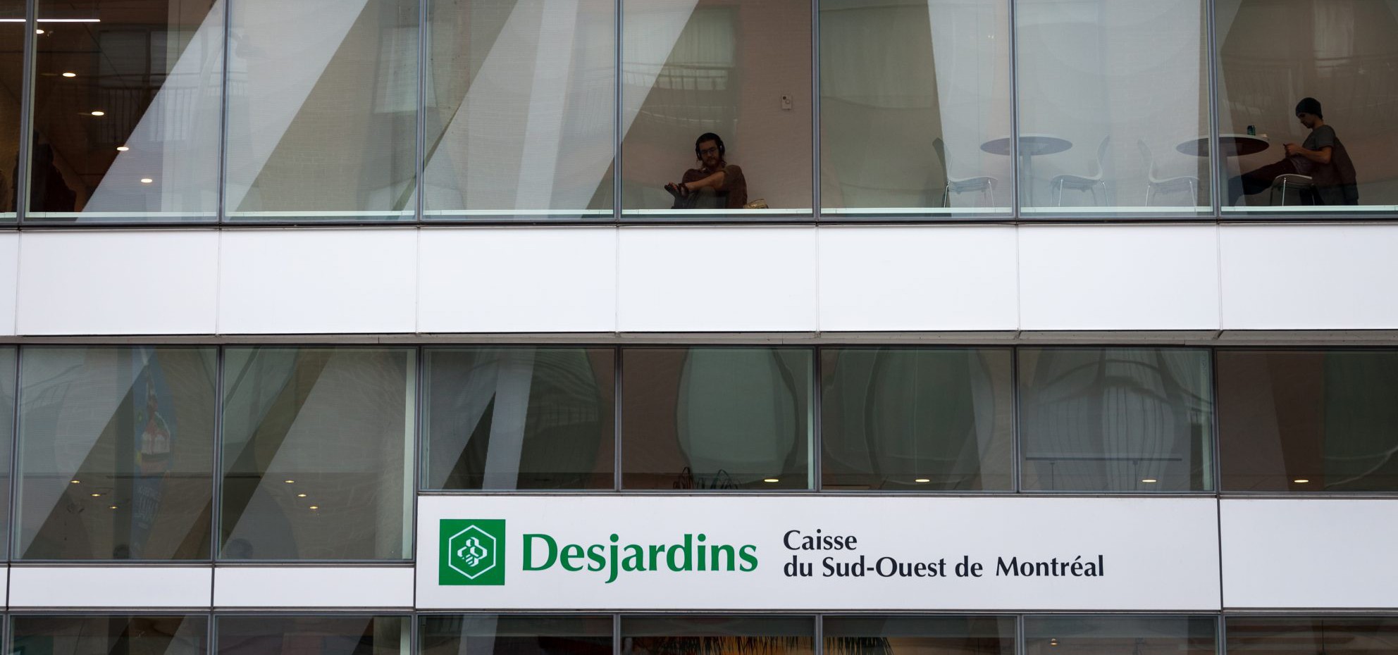 Desjardins to distribute CA $253m to its members in dividends - Co ...