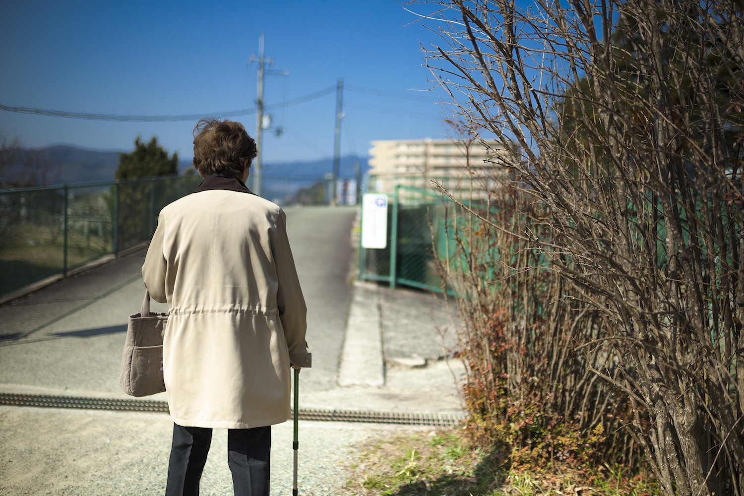 Bridging divides in health: community-based health promotion in Japan ...