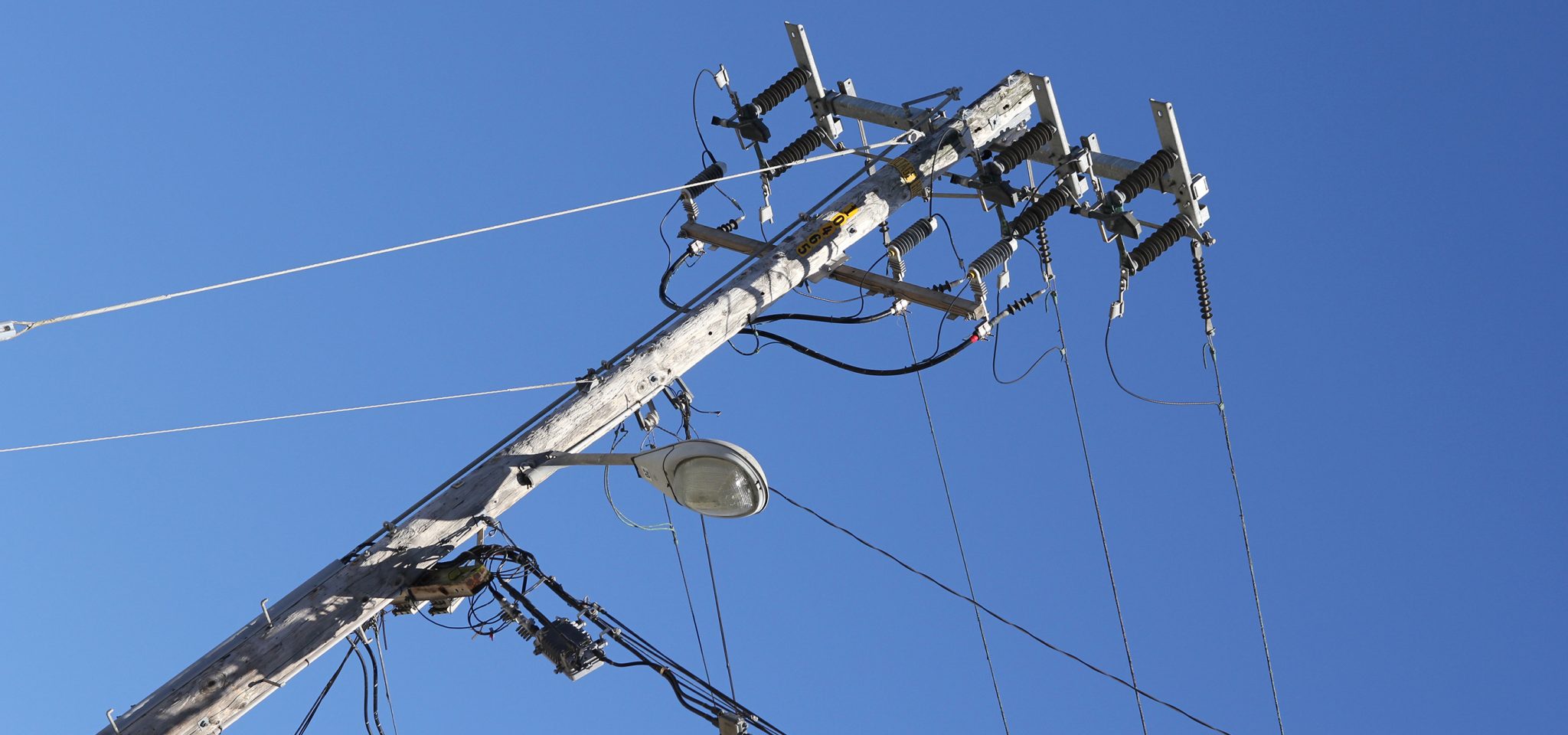 Berkeley Electric Cooperative rounds up bills to support local ...