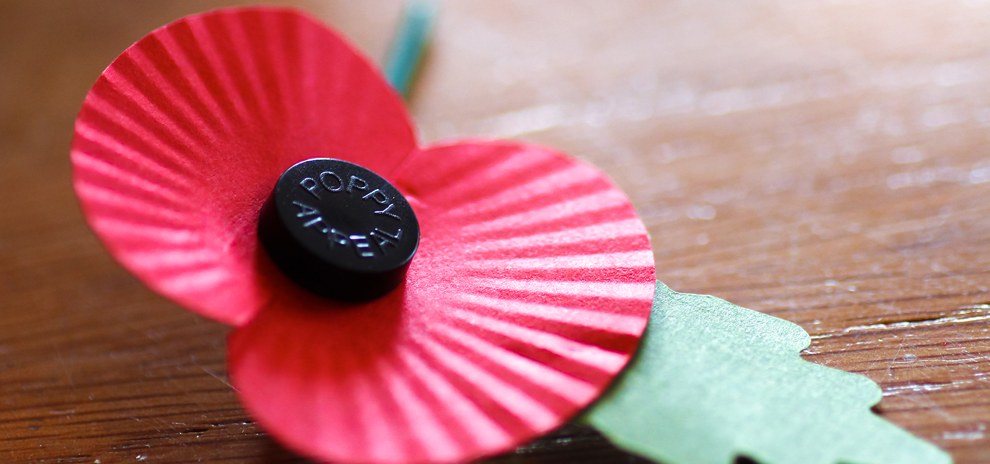 Lincolnshire Co-op puts its weight behind poppy appeal - Co-operative News