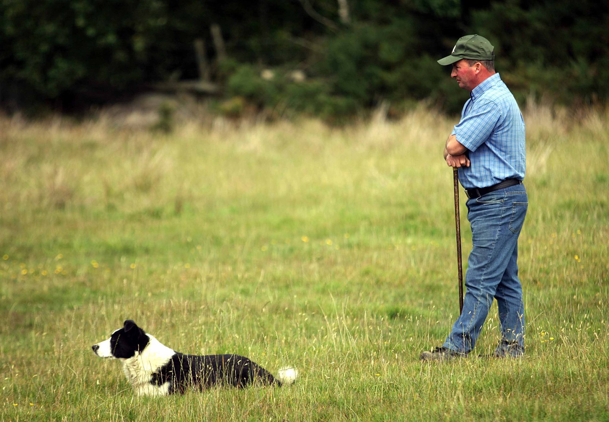 The co-operative movement and its role in the ‘Irish Question’ - Co ...