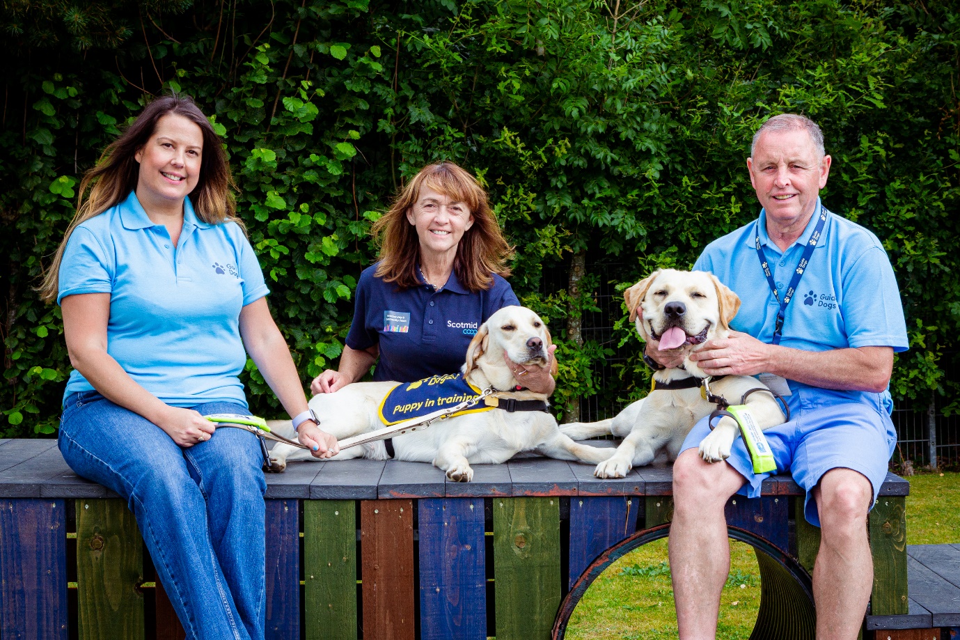 Scotmid Co-op partners with Guide Dogs charity - Co-operative News