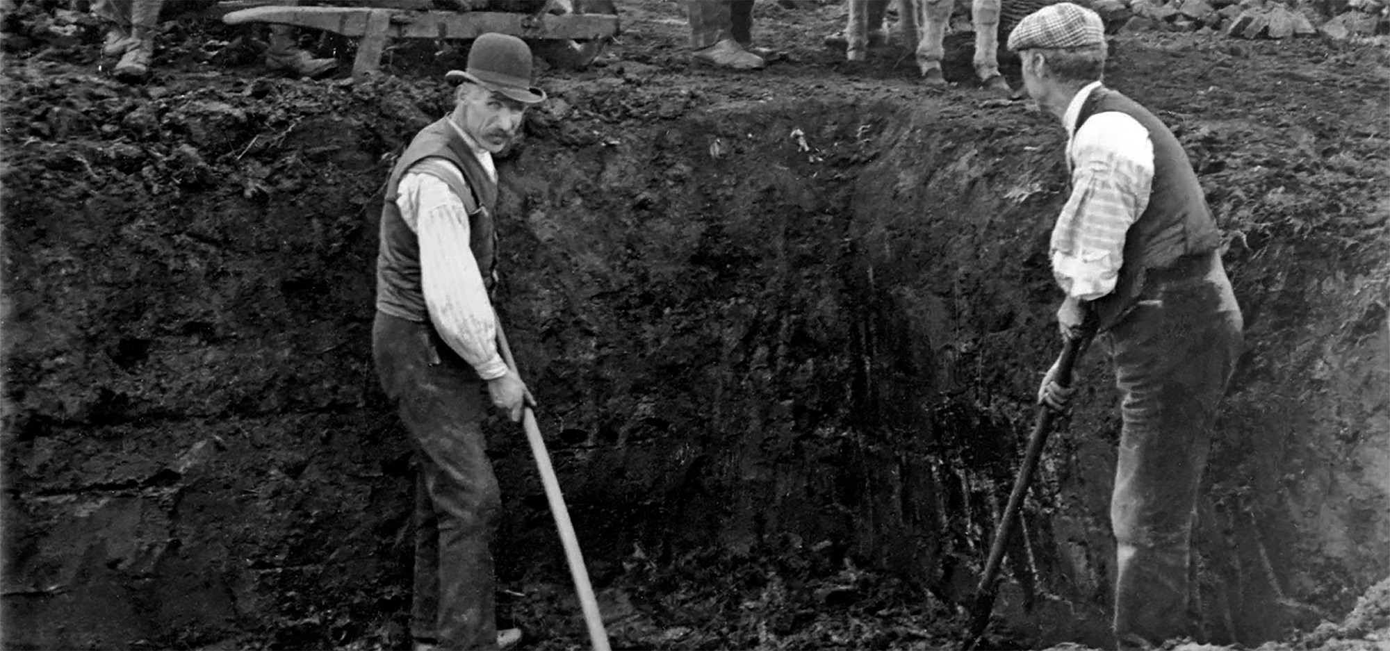 Co-ops and Ireland: The shaping of a nation - Co-operative News